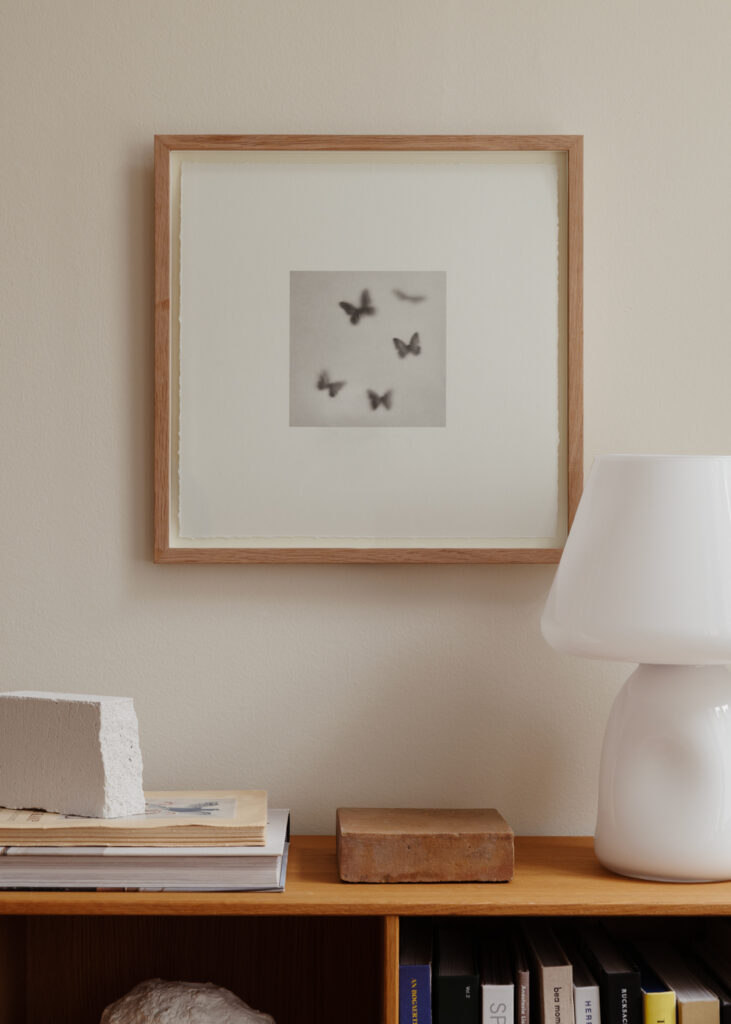 TRANSLUCENCY 02 – Orginal artwork by Jonas Bjerre-Poulsen curated by ALIUM